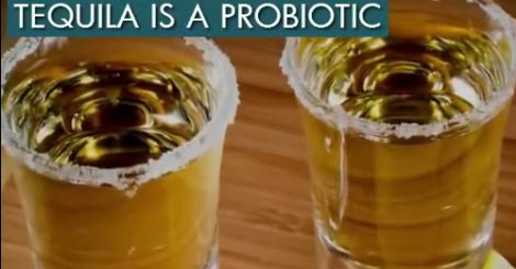 Tequila – A Shot a Day Keeps the Doctor Away